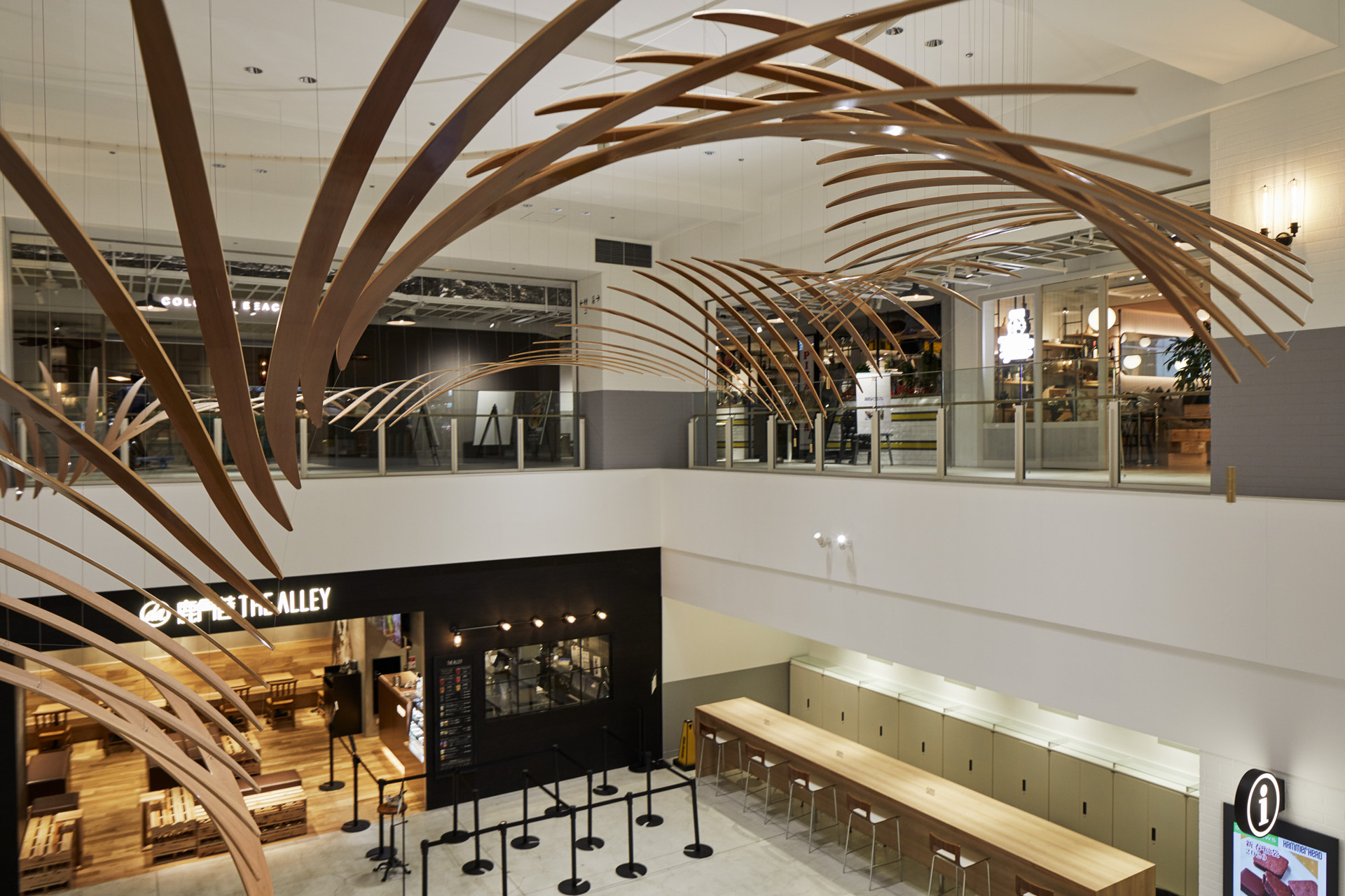 PADDLE DANCE / YOKOHAMA HAMMERHEAD