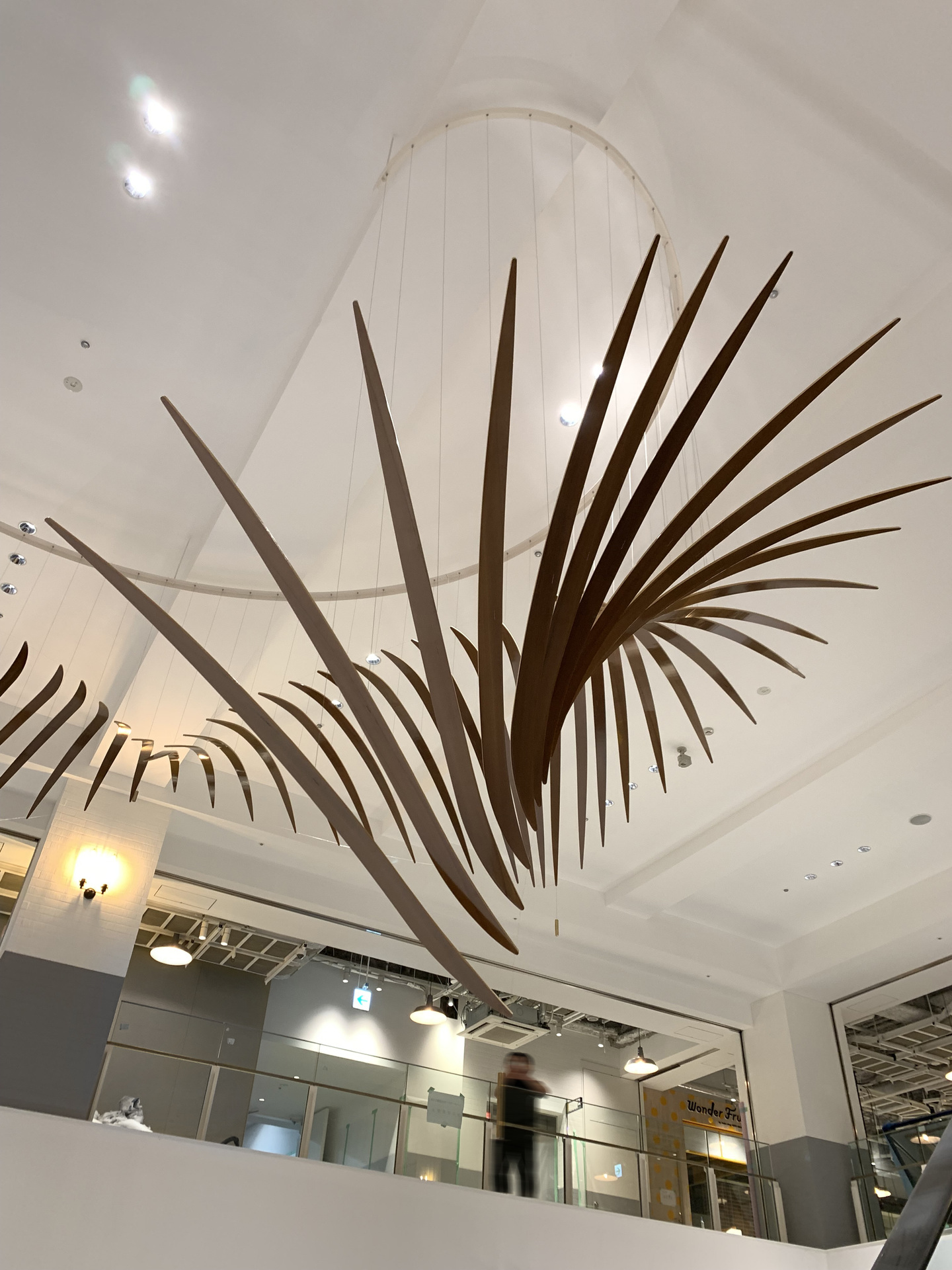 PADDLE DANCE / YOKOHAMA HAMMERHEAD