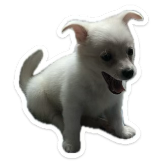 About - 임솔아 Lim Solah