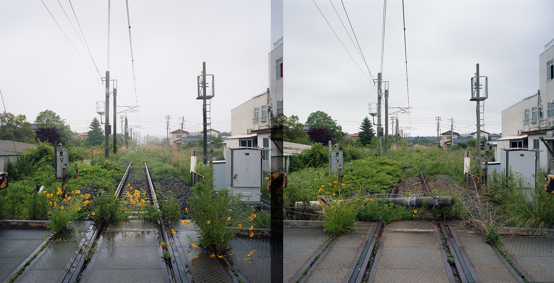 TOSHIYA WATANABE PHOTOGRAPHY