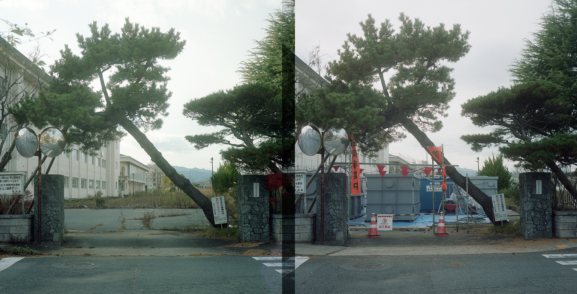 TOSHIYA WATANABE PHOTOGRAPHY