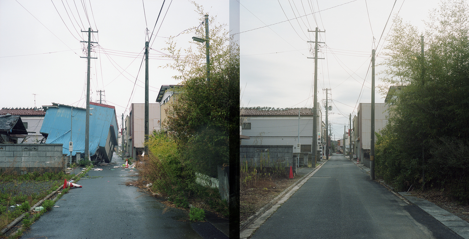 TOSHIYA WATANABE PHOTOGRAPHY