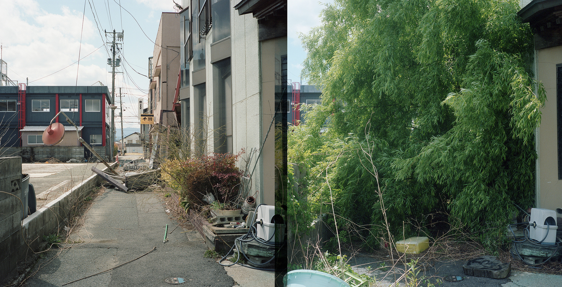 TOSHIYA WATANABE PHOTOGRAPHY